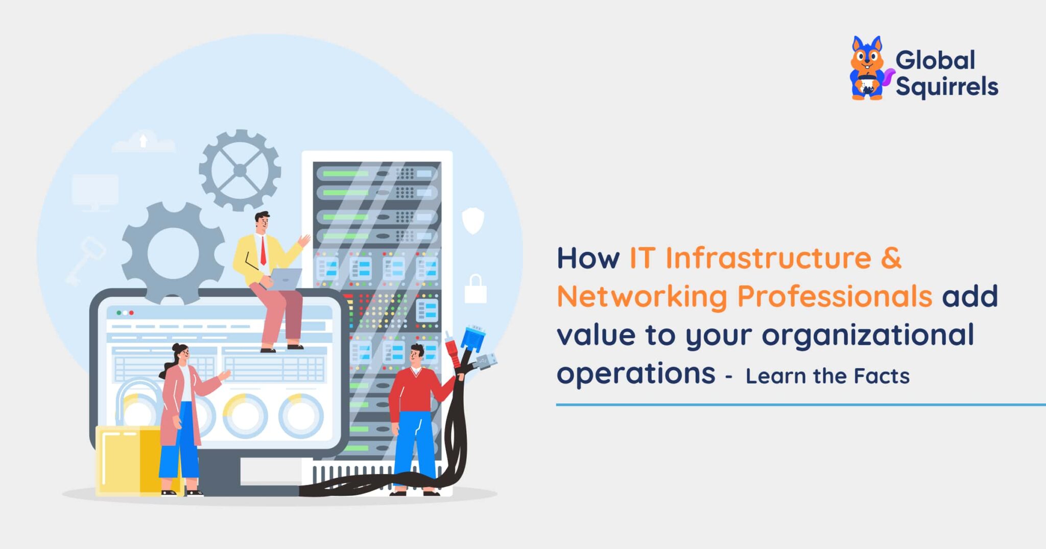 How IT Infrastructure & Networking domain controls operations